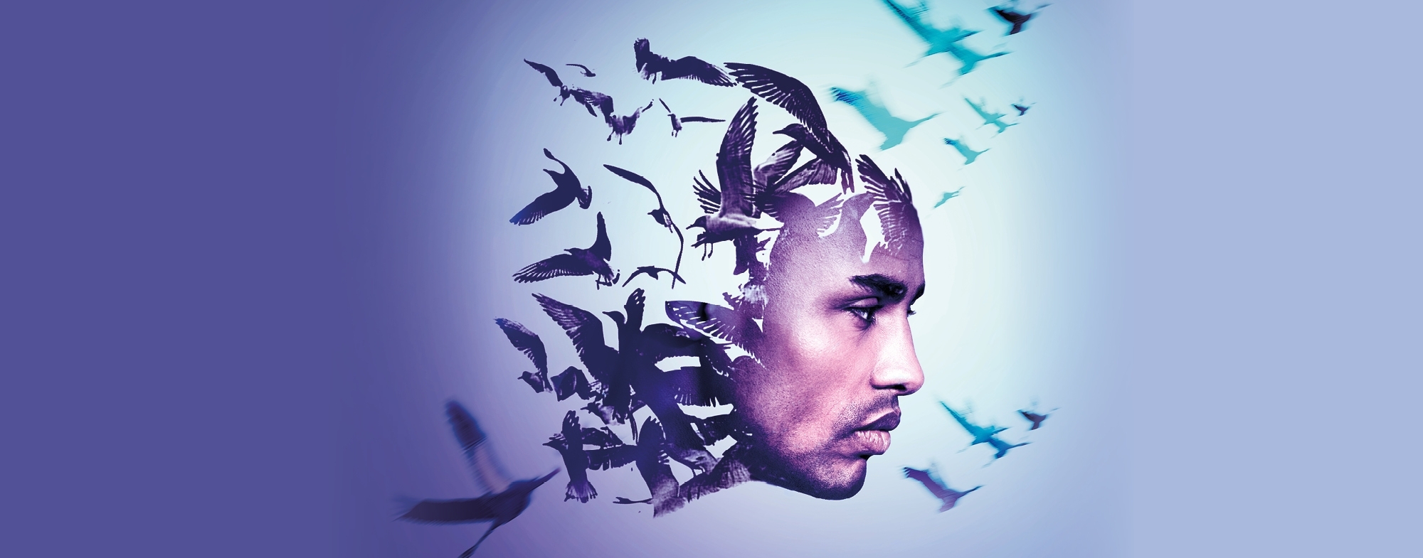 Will Todd Composer | Will Todd Composer Conductor Presenter